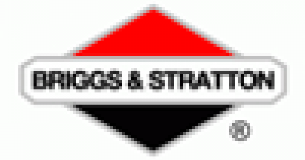 Briggs&Stratton
